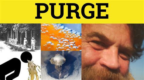 Purge Purge Meaning Purge Examples GRE Vocabulary YouTube