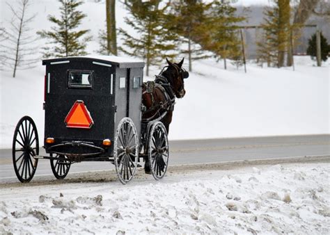Amish Christmas Traditions A Simple And Meaningful Celebration The