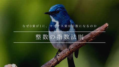 【指数関数の微分公式】証明は微分の定義と、ネイピア数eが最大の鍵！ 青春マスマティック