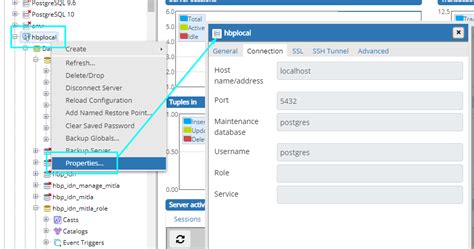 Dimensi Tutupbotol Connecting Cakephp 411 To Postgresql