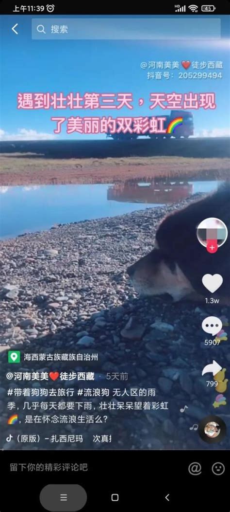 徒步女网红西藏直播遇难 知乎