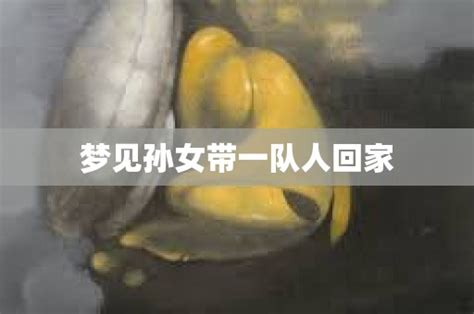 梦见孙女带一队人回家 命理解梦