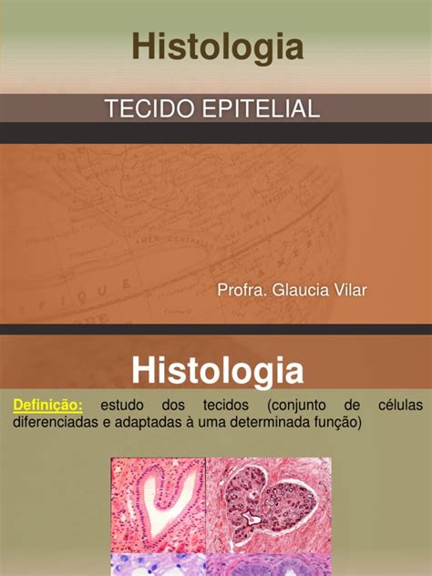 Histologia Tecido Epitelial De Revestimento Epithelium Cell Anatomy
