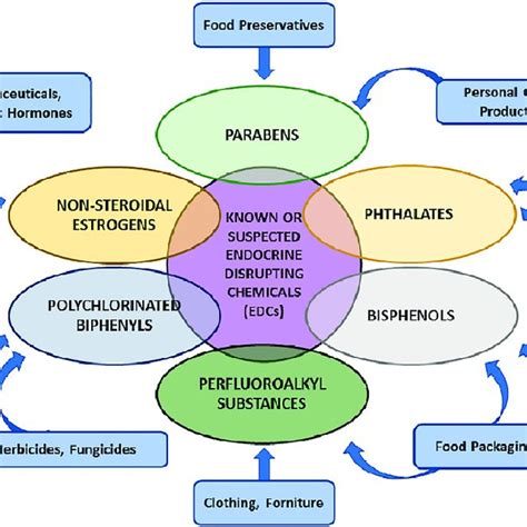 Pdf Endocrine Disrupting Chemicals Edcs Effects On Tumour