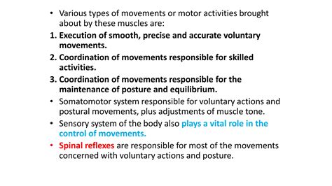 Somatomotor Systempptx