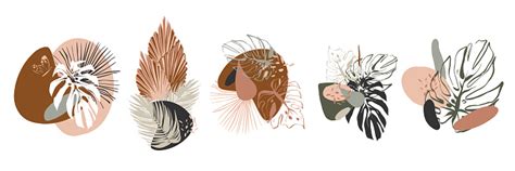 모양과 열대 잎 벡터 추상 조성물의 집합입니다 현대 미니멀 한 예술 선형 예술의 요소 세련된 트렌드 색상 직물 디자인 티셔츠 카드 명함 무드 보드 및 캘린더 인쇄 나뭇가지에