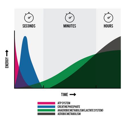 Sports Performance Bulletin Training Structure Planning Training