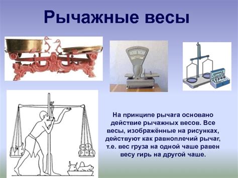 Рычаги в технике, быту и природе