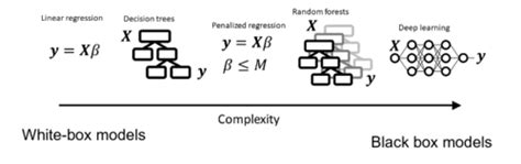 Interpretability And Explainability Karteikarten Quizlet