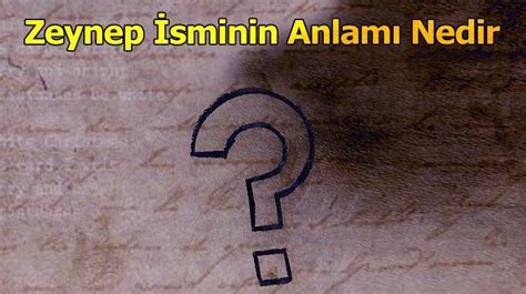 Zeynep İsminin Anlamı Nedir Zeynep Ne Demek Ne Anlamına Gelir