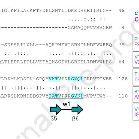 A Pairwise Sequence Alignment Embos Needle Madeira Et Al 2019 Of Download Scientific