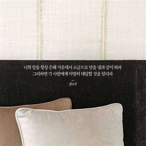 심쿵말씀 너희 말을 항상 은혜 가운데서 소금으로 맛을 냄과 같이 하라 그리하면 각 사람에게 마땅히