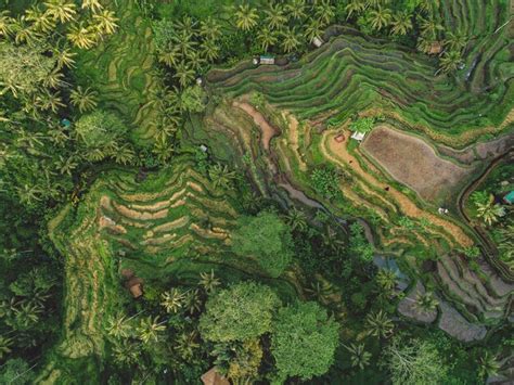 Premium Photo High Angle View Of Agricultural Field