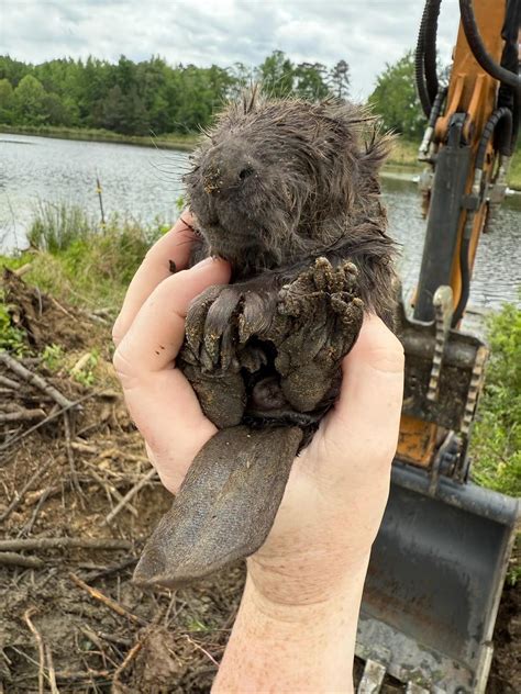 Kimberly K Pendleton