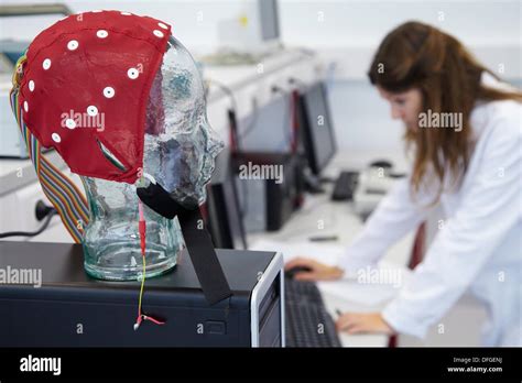 Biomedical Engineering Products