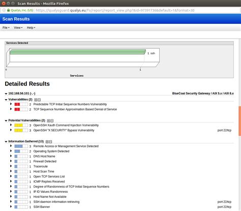 Qualys Authenticated Scanning Alexander V Leonov