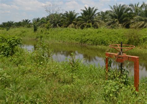 Sobre La Pugna Por El Agua En María La Baja
