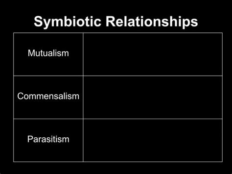 04 Archae Bacteria Ppt