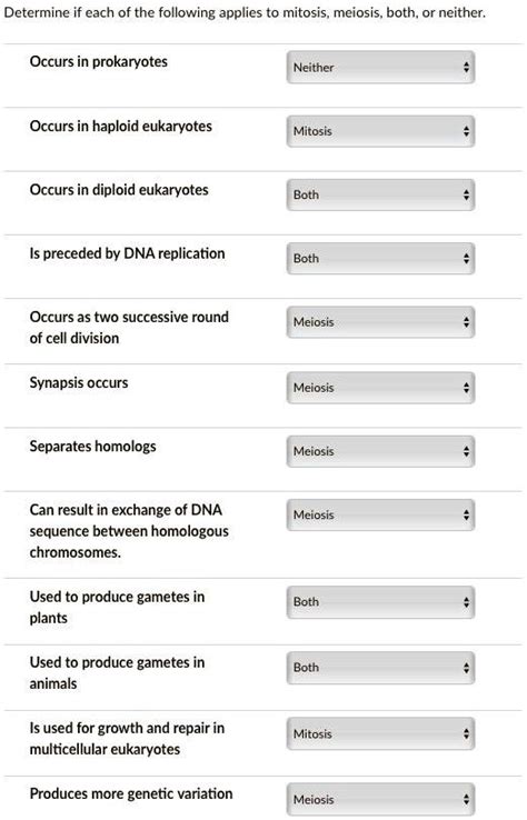 Produce Gametes In Eukaryotic Organisms At James Velarde Blog