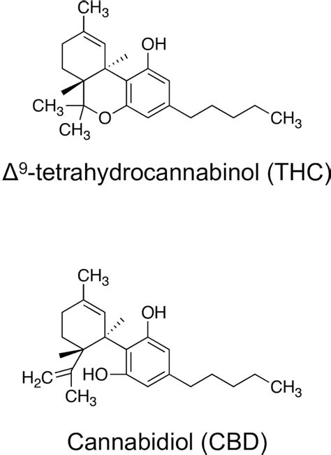 Administration Of Δ9 Tetrahydrocannabinol Thc In Adolescent And Adult Mice