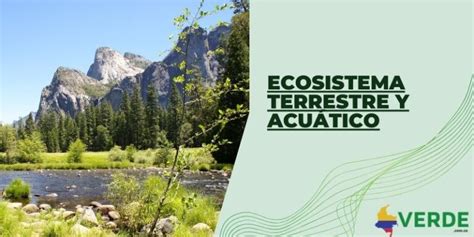 Cuales son los componentes básicos de un ecosistema Colombia Verde
