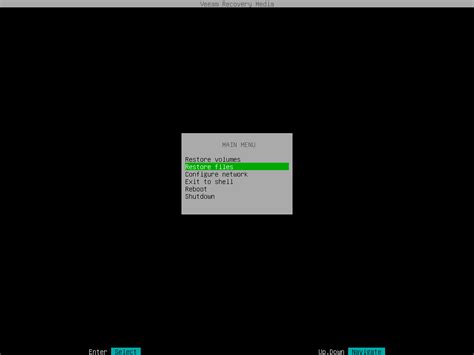 Step 3 Launch File Level Restore Wizard Veeam Agent For Linux User Guide