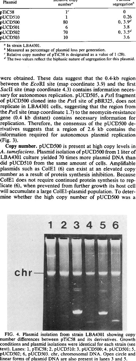 Relative Plasmid Copy Number And Segregation Download Table
