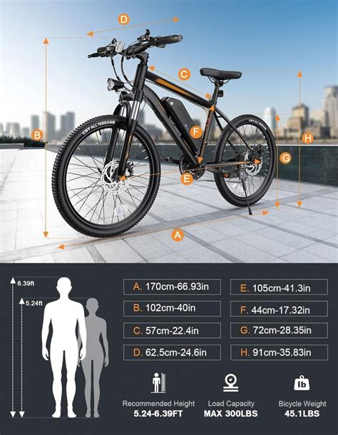 Totguard Electric Bike Review