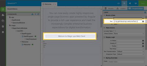 How Do I Preview The Runtime Of An Angular Project Smartux