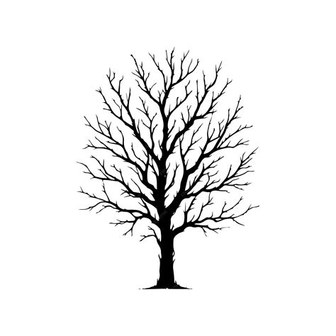 Branches Silhouette Dead Tree Vector Minimal Naked Tree Vector Isolated
