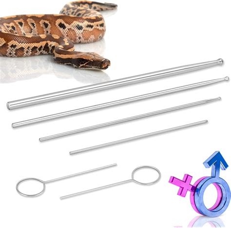 Antidious Snake Probes Kit，snake Sexing Probing Gender