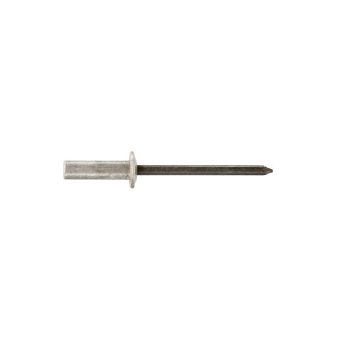 Shop Qualfast 6 4x16mm Sigma Sealed Dome Blind Rivet Aluminium Steel