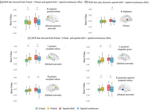 The Six Rois That Showed Spatial‐shift Spatial‐continuous Effect Download Scientific Diagram