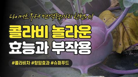 콜라비효능 콜라비 효과 부작용 칼로리 먹는법 전부 다 알려드립니다 Youtube