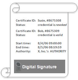 About Validation Responder