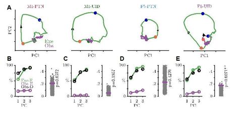 Figures And Data In Movement Initiation And Grasp Representation In