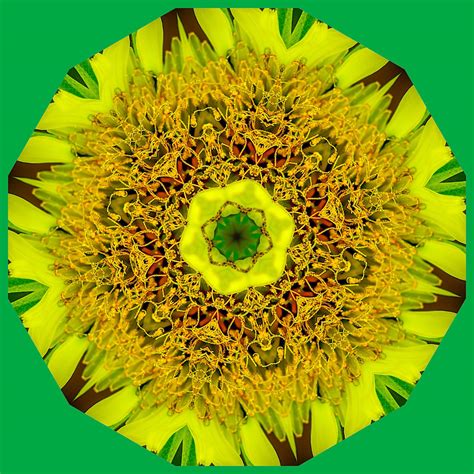 Solve 1 Very Large Jigsaw Puzzle Online With 225 Pieces