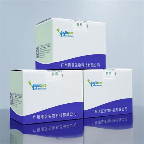 「baybiopure 磁珠法细菌基因组dna提取试剂盒baybiopure湾区生物96t盒」 价格、参数、图片 仪器网