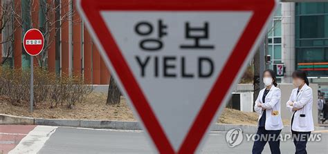 양보 없는 의정갈등언제까지 연합뉴스