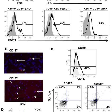 pdf il 7r expression and il 7 signaling confer a distinct phenotype