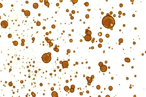 Textura De Manchas De Café Manchas Abstractas Imágenes Psicológicas