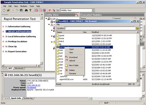 Automated Penetration Testing With CORE IMPACT Help Net Security
