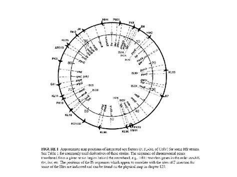 Plasmids And Plasmid Biology By KonradT Juszkiewicz MD