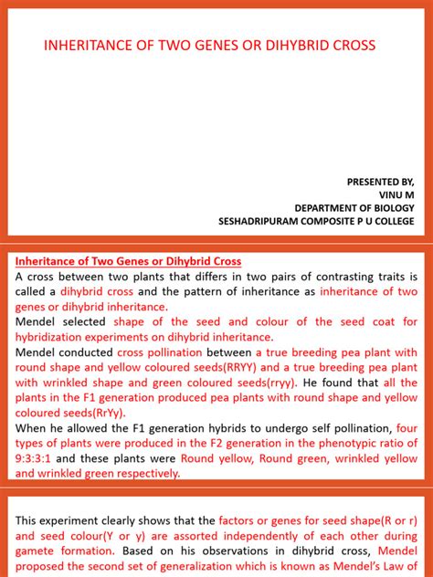 Inheritance Of Two Genes Or Dihybrid Cross Pdf Genetics