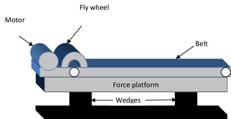 force measuring treadmill download scientific diagram