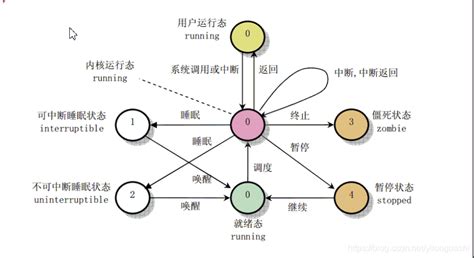 进程的详解（进程和程序，进程调度，进程同步和互斥（经典同步问题） ）进程同步思考 如果要让子进程先调度完成后再去调度父进程该如何修改