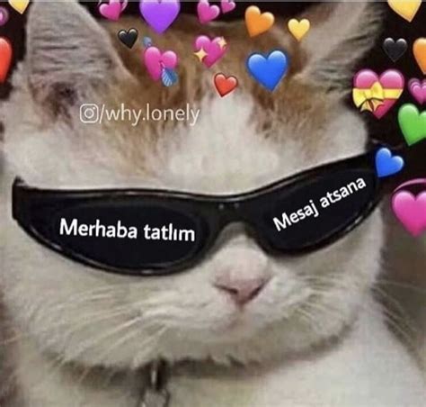 Turuncu Yarı Texting Komik Internet Fenomenleri Komik Komik şeyler