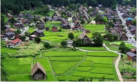 逆城市化形态下的乡村旅游海森文旅设计院