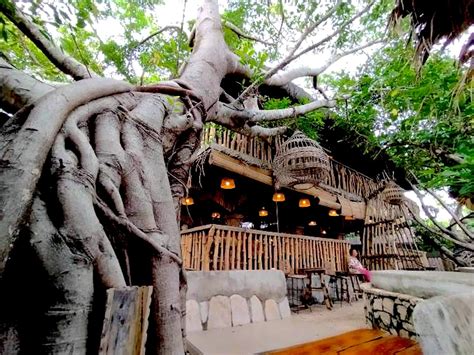 Creative Hub Para Sa Mga Internasyonal Na Digital Nomad Sa Ilocos Sur