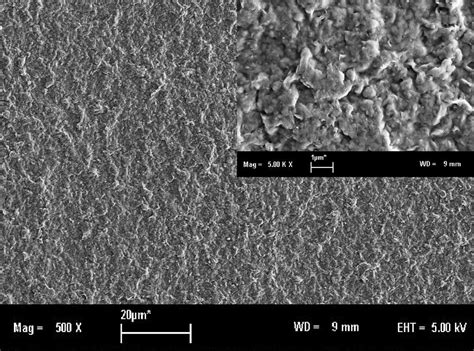 Sem Micrographs Of Equal Fraction Of Phb Enr 50 Blend Containing A 3